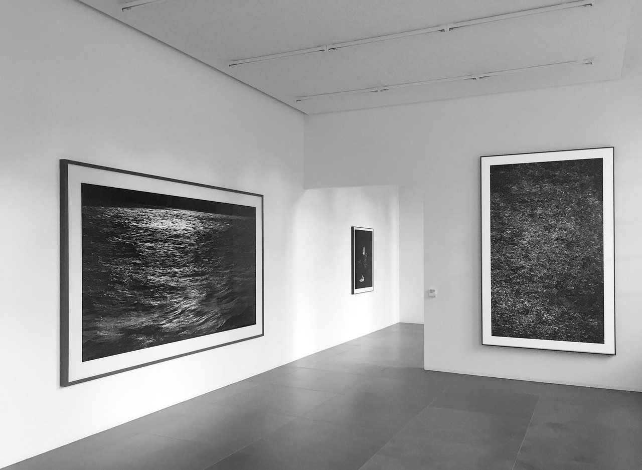 Fecht, Tom - Galerie Wittenbrink DE