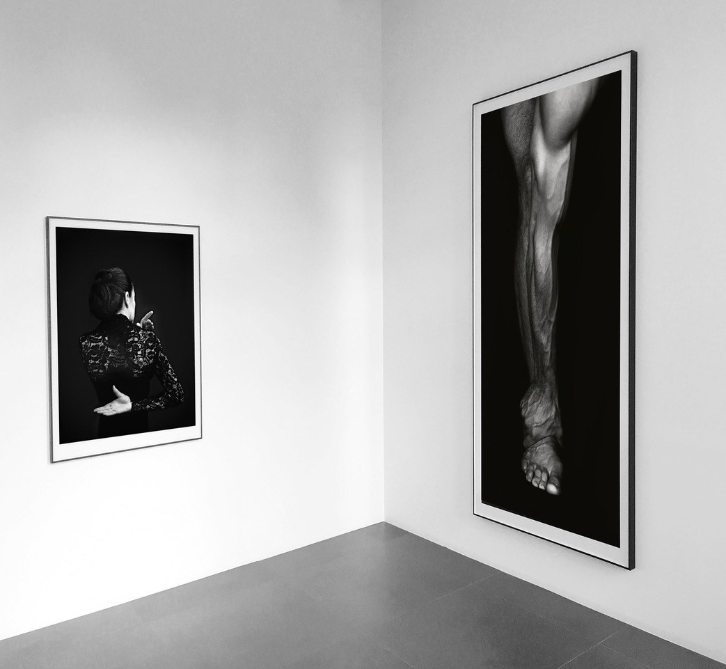 Fecht, Tom - Galerie Wittenbrink DE